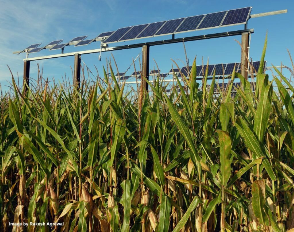 Agrivoltaico, il TAR Sicilia boccia il decreto VIA del Mase: no ad ...