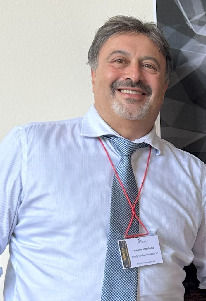 Il progetto dei pannelli in perovskite di Iritaly Trading Company – pv ...