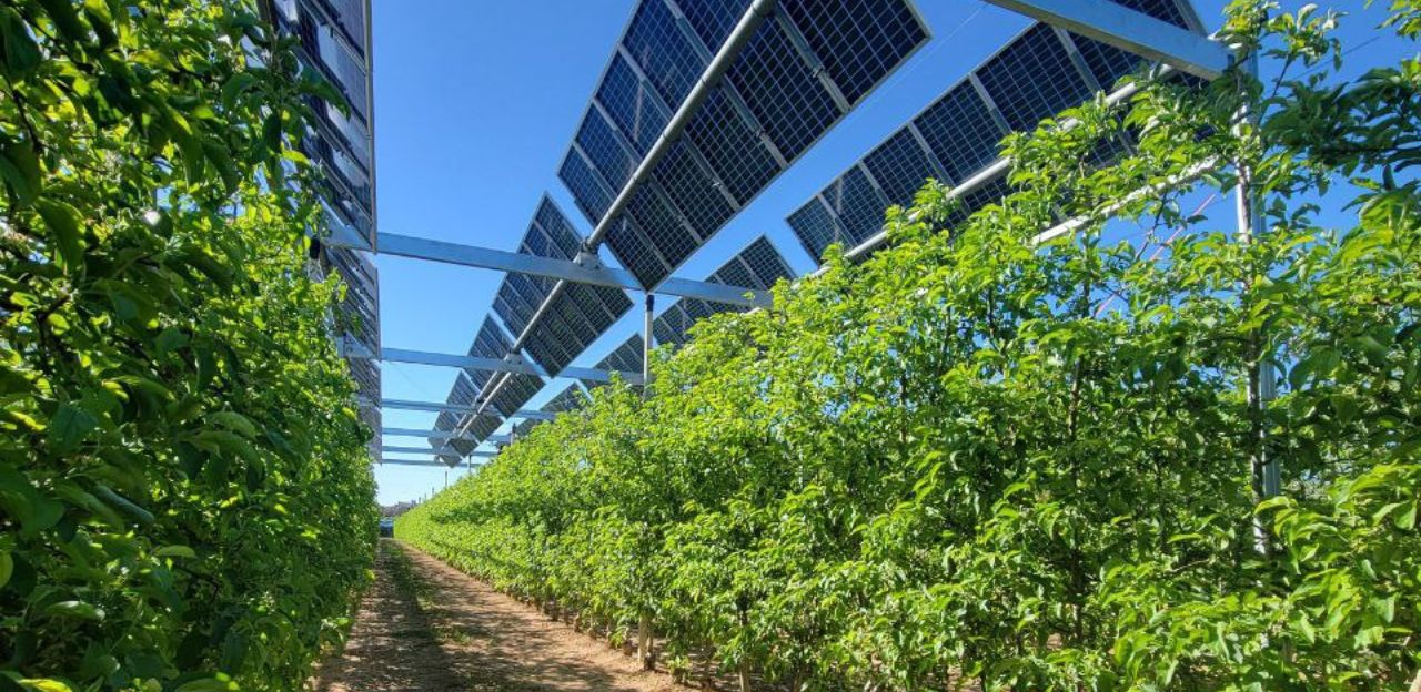 Progetto agrivoltaico da 100 MW: un percorso tortuoso che si conclude ...