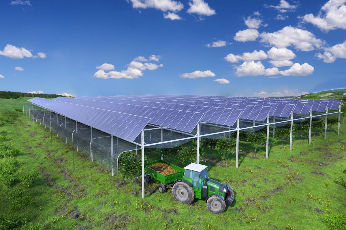 iGreen System racconta il suo agrivoltaico avanzato – pv magazine Italia
