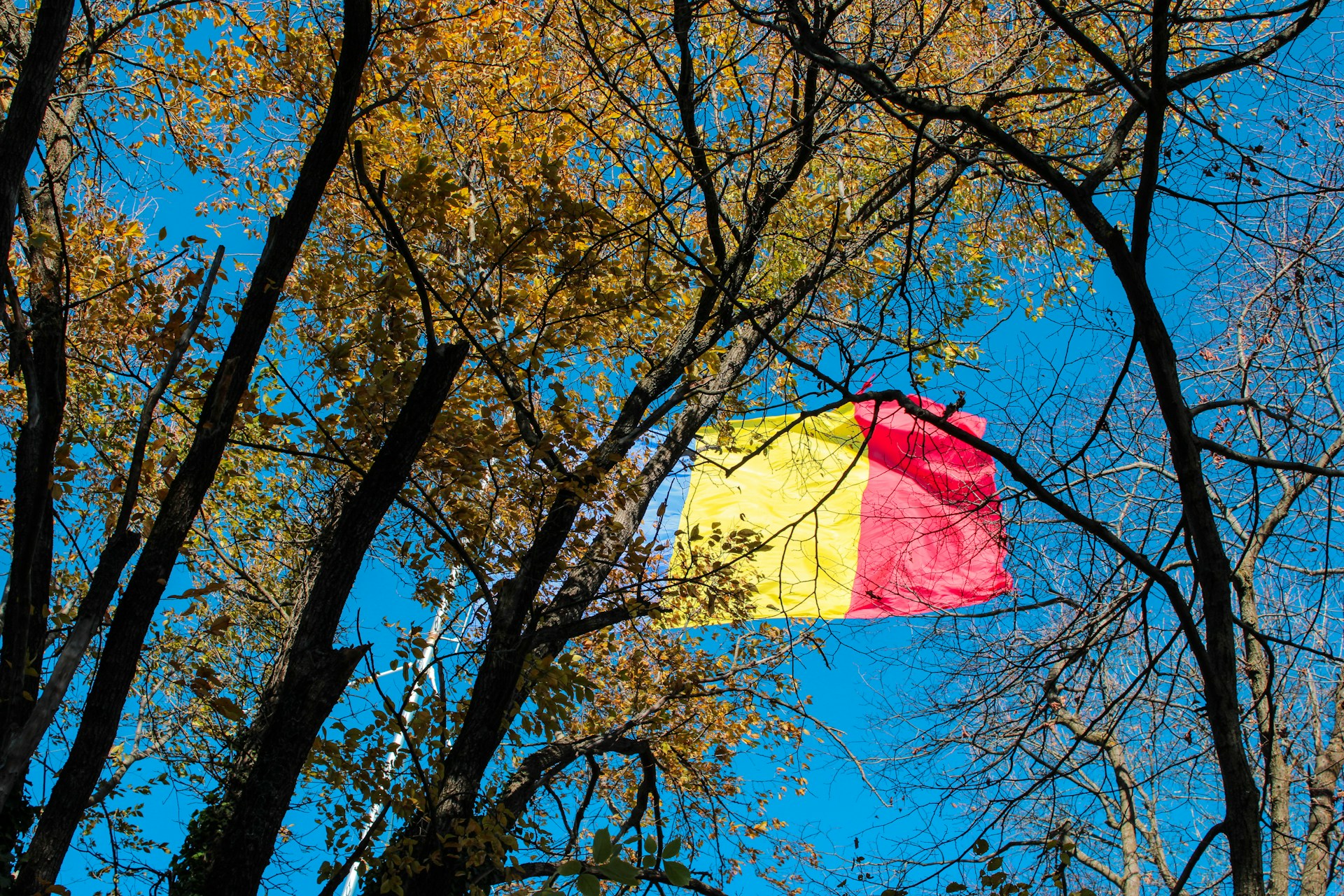 La Romania installa 2,2 GW di fotovoltaico nel 2025 – pv magazine Italia